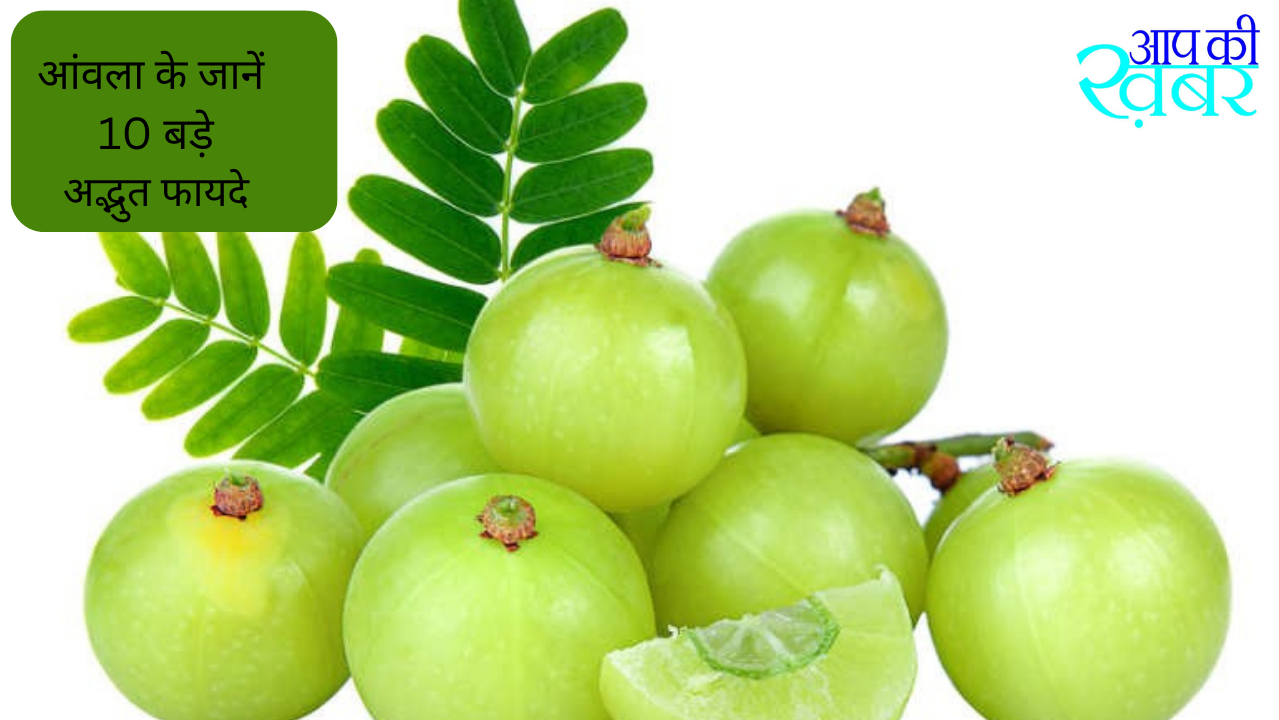 Amla is one medicine for 100 diseases know its 10 amazing benefits